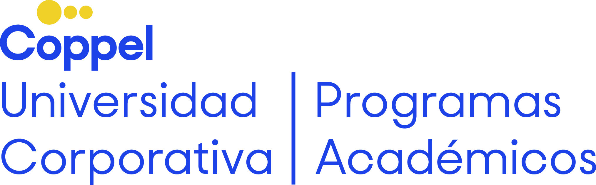 Maestria en dirección de negocios